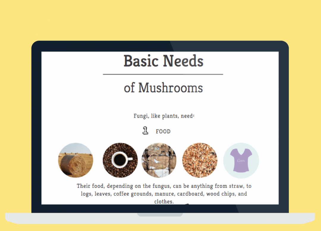 How to Grow Oyster Mushrooms Indoors - Permacrafters