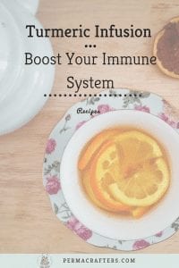 Turmeric Infusion | Boost Your Immune System - Permacrafters