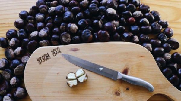 Horse Chestnut Laundry Detergent | Zero Waste Cleaning - Permacrafters