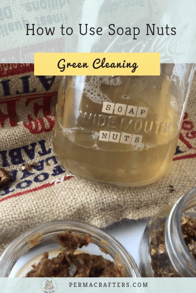 How to Use Soap Nuts for Green Cleaning and Natural Skin Care ...