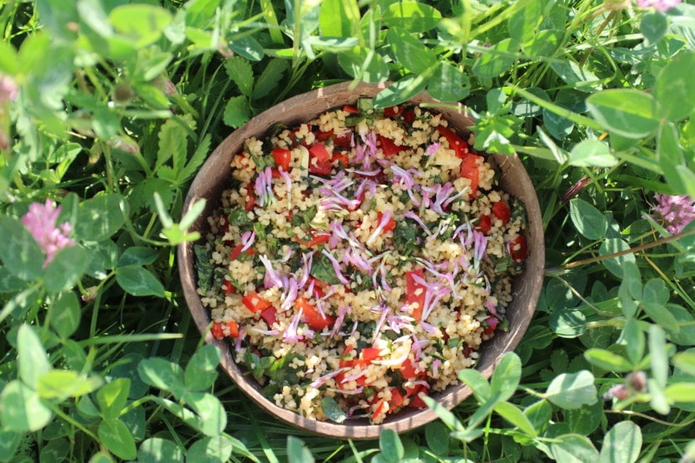 Foraged Red Clover Recipe: Wild Tabbouleh - Permacrafters