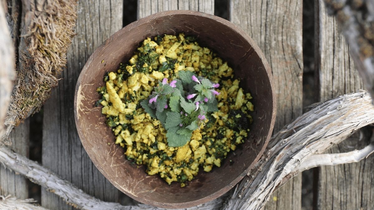 Foraged Purple Dead Nettle | Tofu Scramble Recipe - Permacrafters