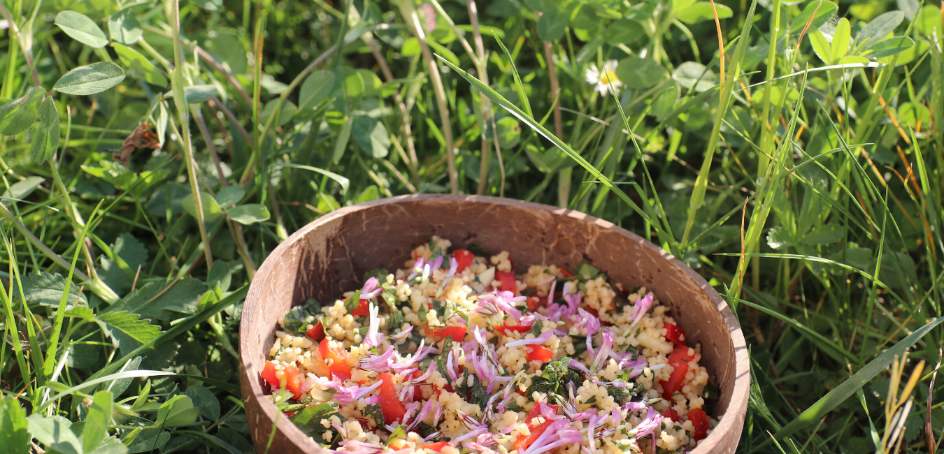 Foraged Red Clover Recipe: Wild Tabbouleh - Permacrafters
