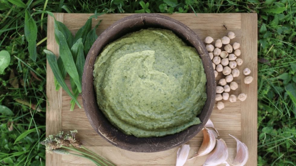 Narrowleaf Plantain Hummus Recipe: Backyard Foraging - Permacrafters