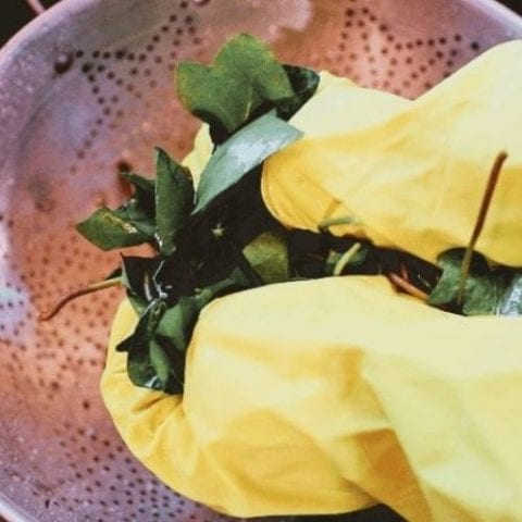 English Ivy Laundry Detergent - Permacrafters