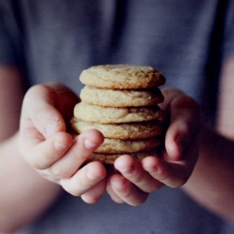 Foraging Edible & Medicinal Plants FAB - Permacrafters