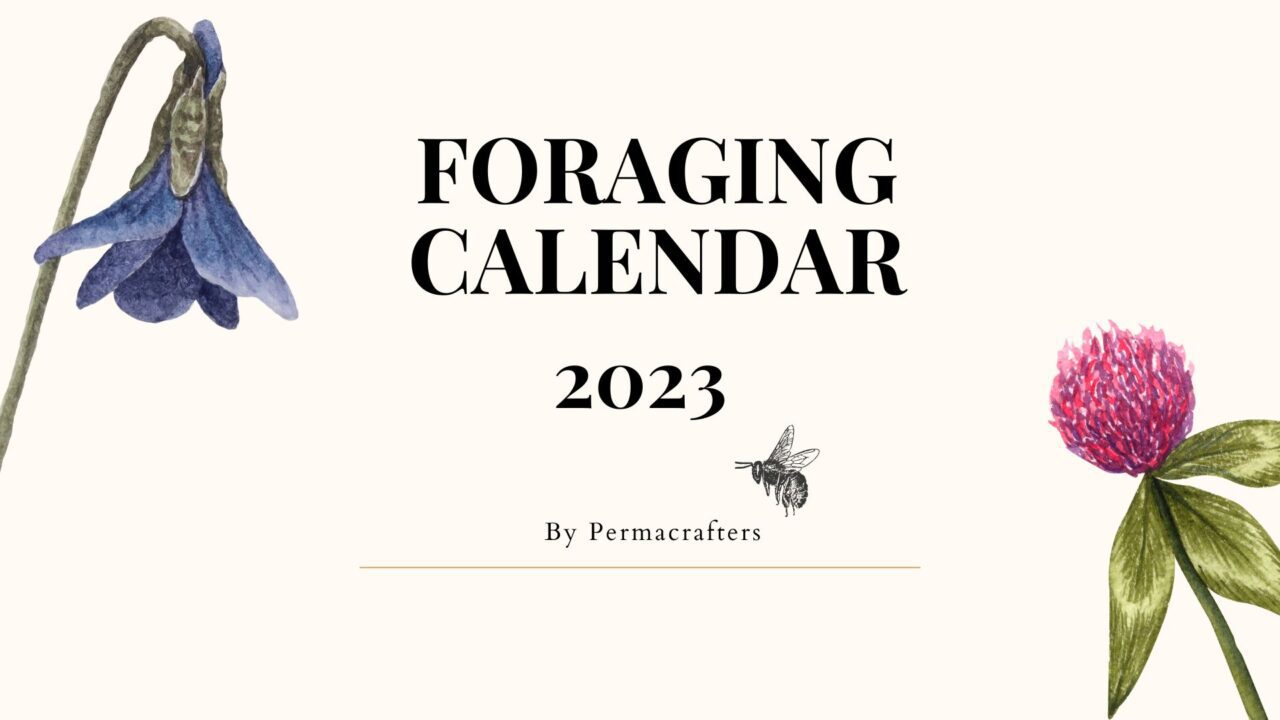 Foraging Calendar Sign up - Permacrafters
