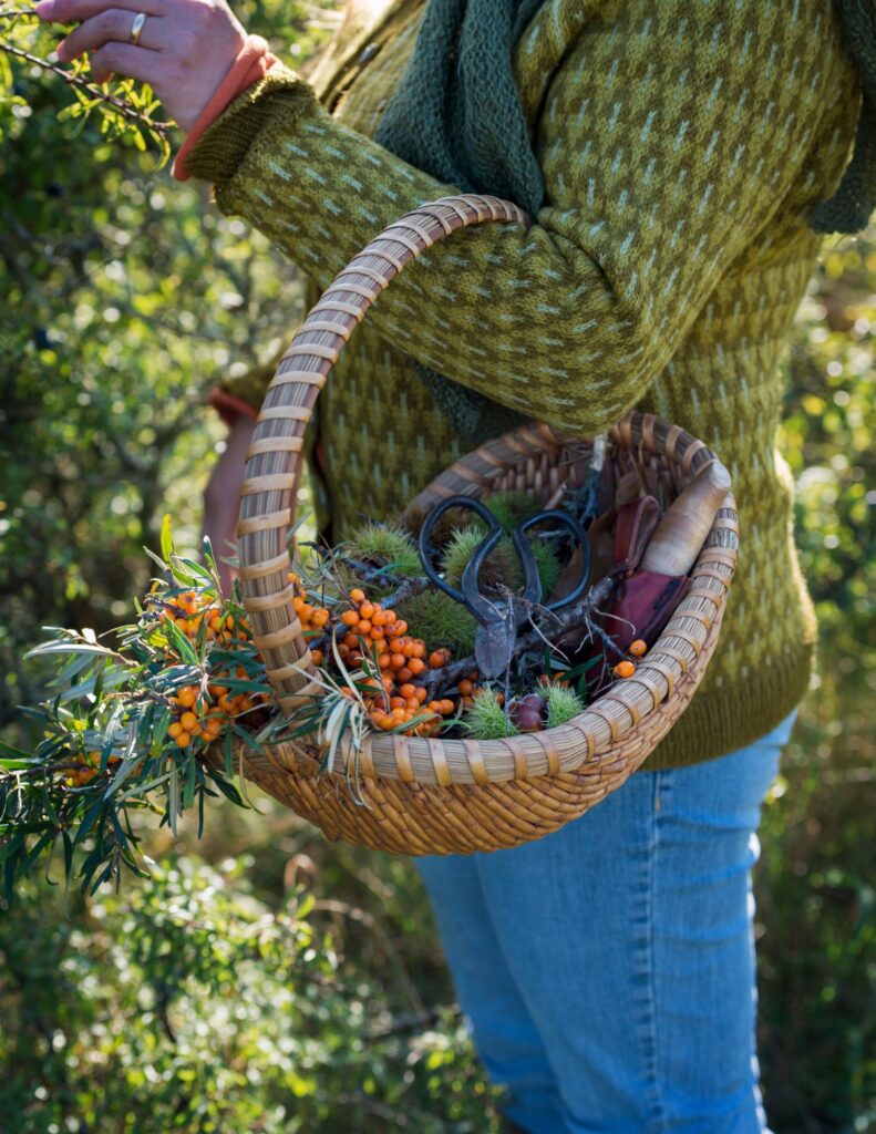 Foraging Edible & Medicinal Plants FAB - Permacrafters